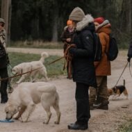 Kleine Hunderassen für Anfänger: Umfassender Leitfaden - Haustier Guide